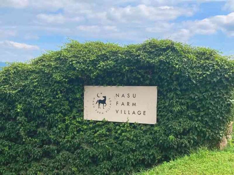 【NASU FARM VILLAGE】美しい大草原！ランチ・カフェ・乗馬・買い物を楽しむ｜大田原市 | なすぐる