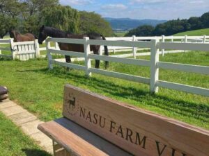 【NASU FARM VILLAGE】美しい大草原！ランチ・カフェ・乗馬・買い物を楽しむ｜大田原市 | なすぐる